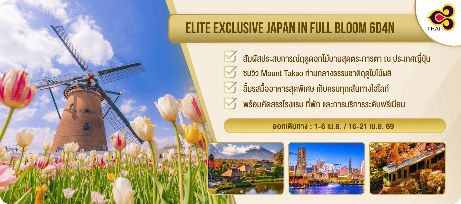 ทัวร์ญี่ปุ่น 2569 ทัวร์โตเกียว-ชิบะ - ฮอลิเดย์ แอนด์ เอเยนซี่